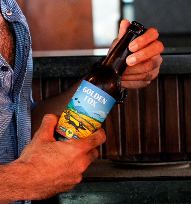 Golden Fox – Flying fox brewing